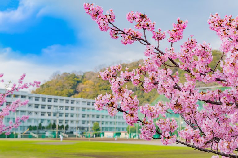 入学式・卒業式のジュエリーマナーと選び方。パール以外でもOK？ | ジュエリーブランド WAKO【広島和光】